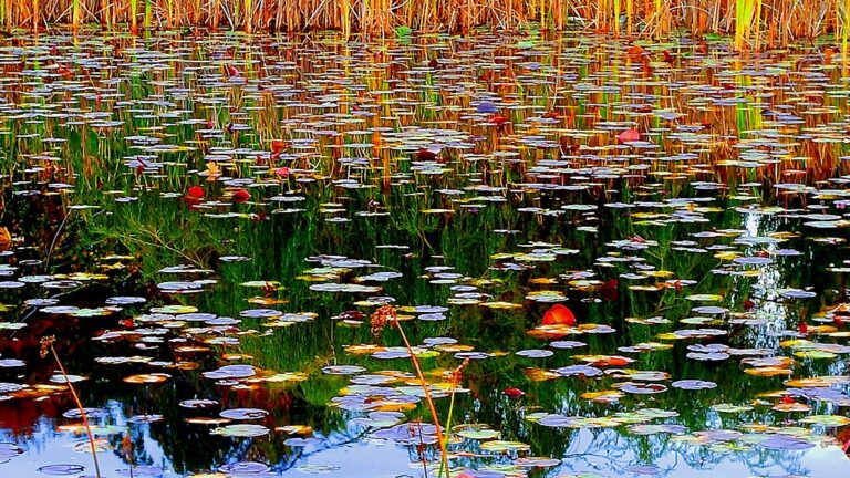 Autumnal Equinox 2025: Aspiration of Samantabhadra practice ...